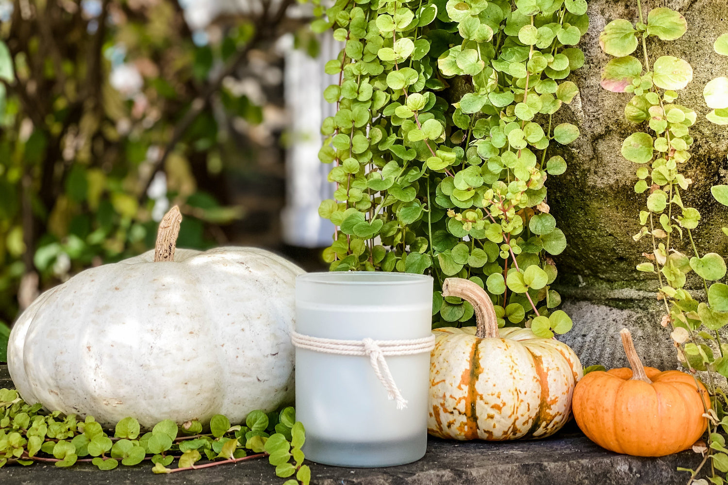 Eastern Shore Candle Co. Hand poured scented luxury candles